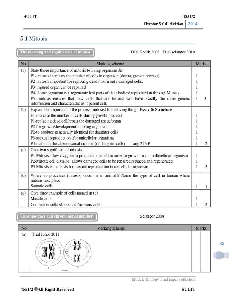 BIOLOGY Form 4 Chapter 5 Cell Division | PDF | Meiosis | Mitosis