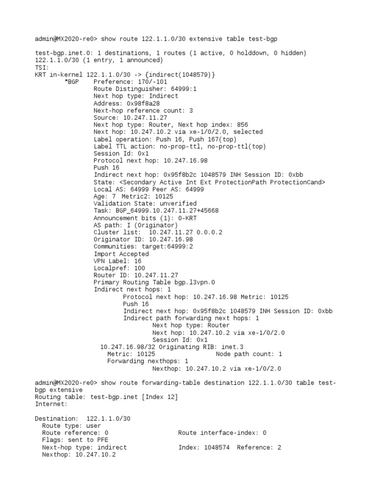 Chained Composite Next Hop | PDF | Routing | Router (Computing)