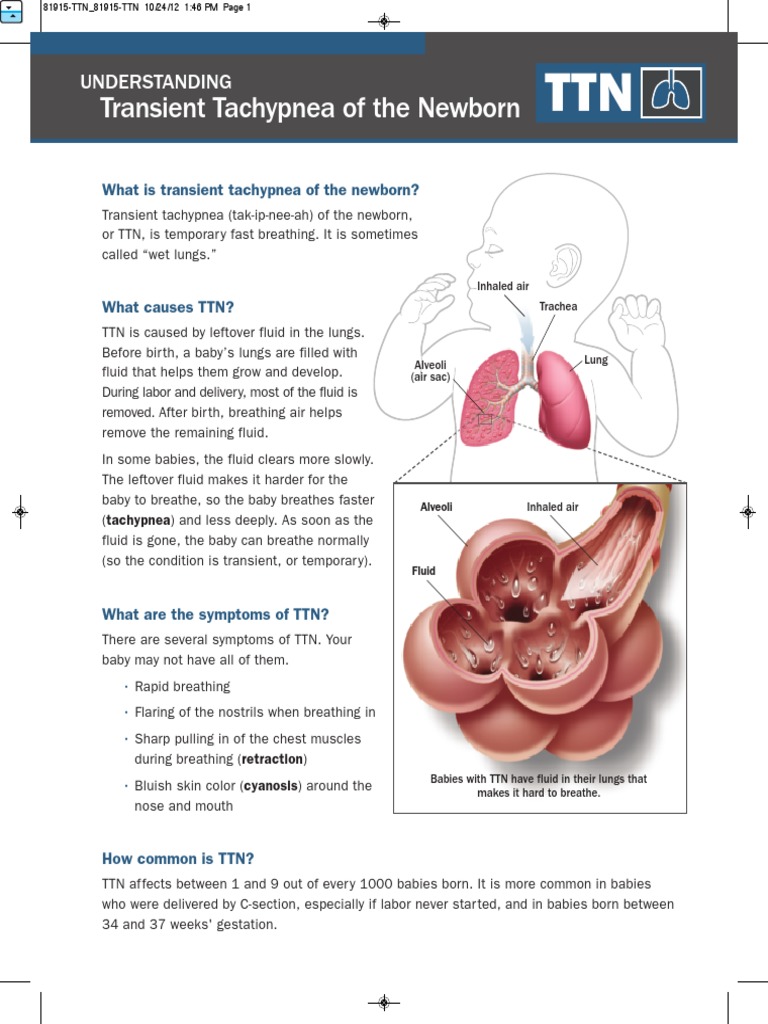 ttn-en.pdf | Breathing | Lung