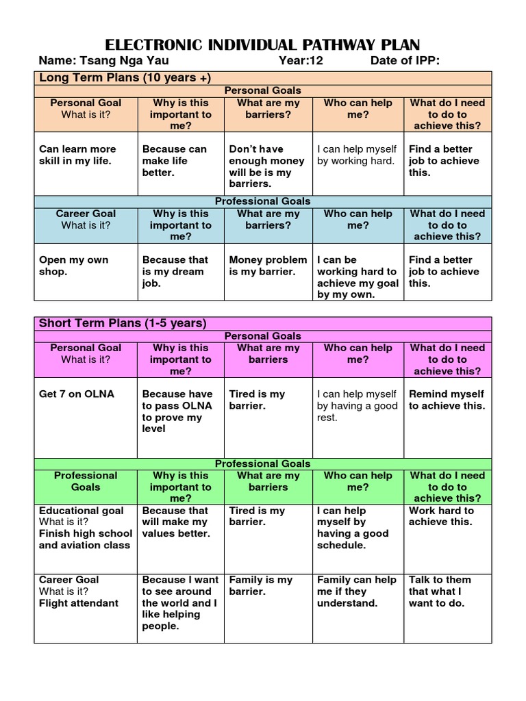 Electronic Individual Pathway Plan - Yau | PDF | Cognition | Languages