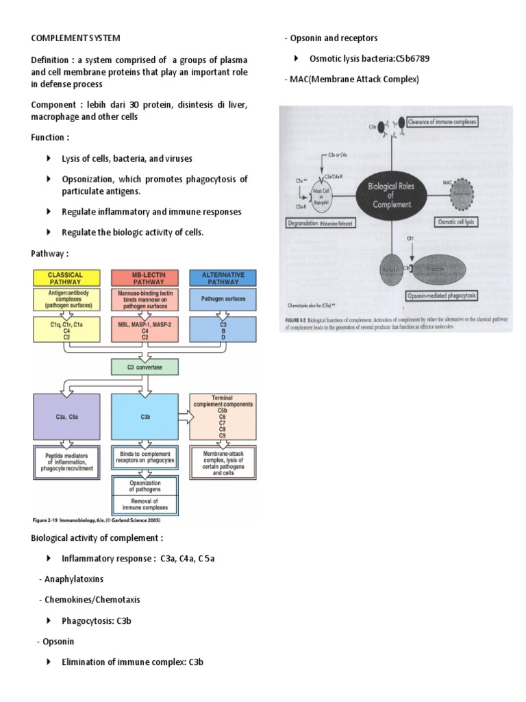 Opsonin and Receptors | PDF