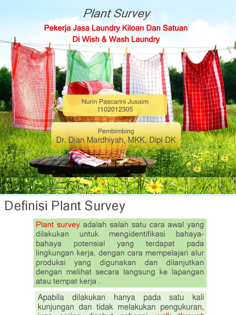 Plant Survey | PDF