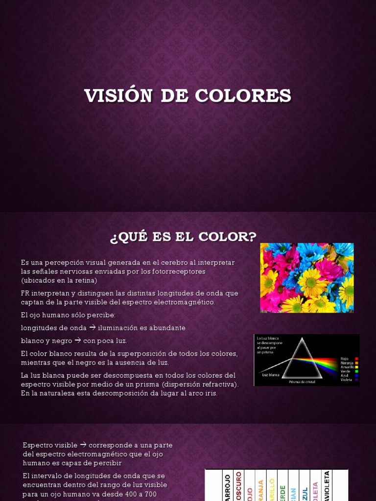 Visión de Colores | PDF | Percepción visual | Color