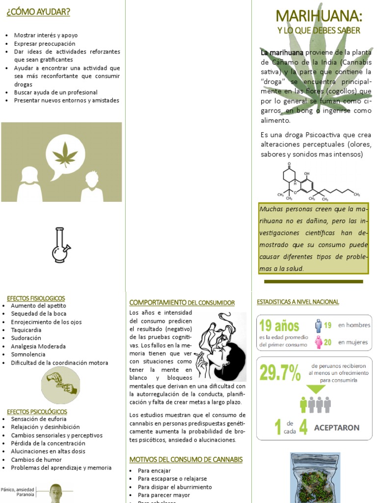 Marihuana tríptico 02.pdf.pdf | Cannabis (Droga) | Drogas