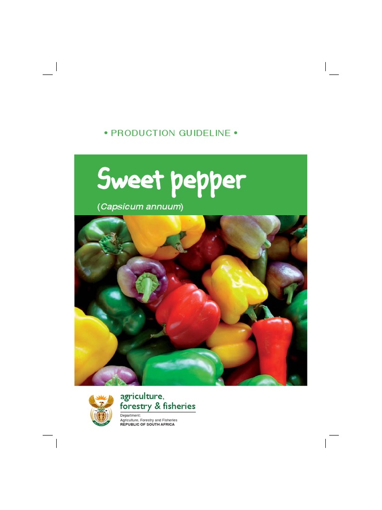 Sweet Pepper | PDF | Sowing | Chili Pepper