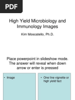 Pixorize Biochemistry Overview | PDF