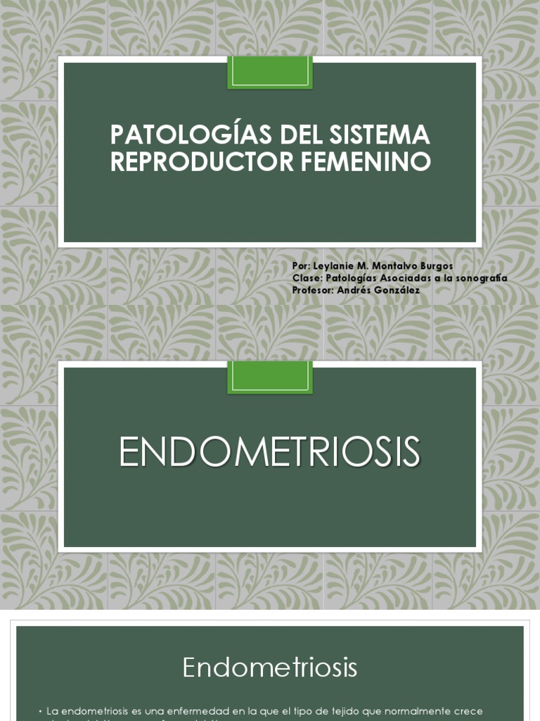 Patologias Del Sistema Reproductor Femenino PDF | PDF | Útero | Enfermedades y trastornos