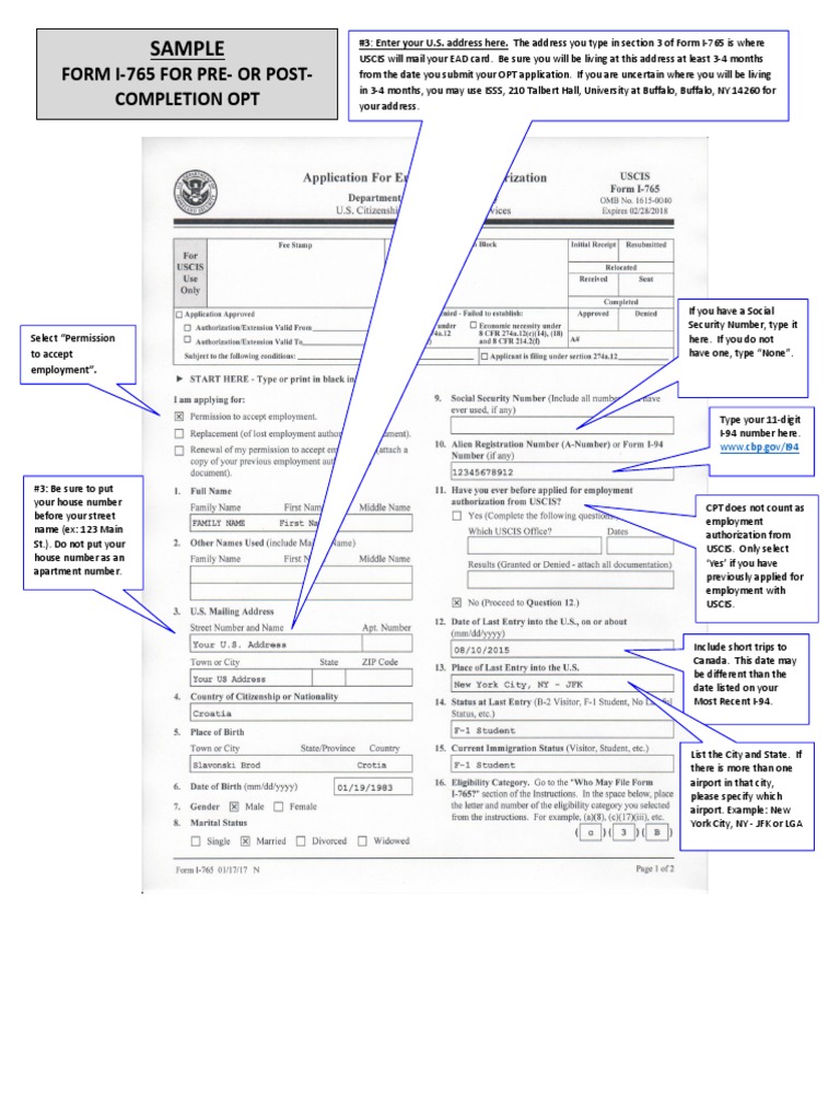 OPT Application Guide | PDF | Government | Business