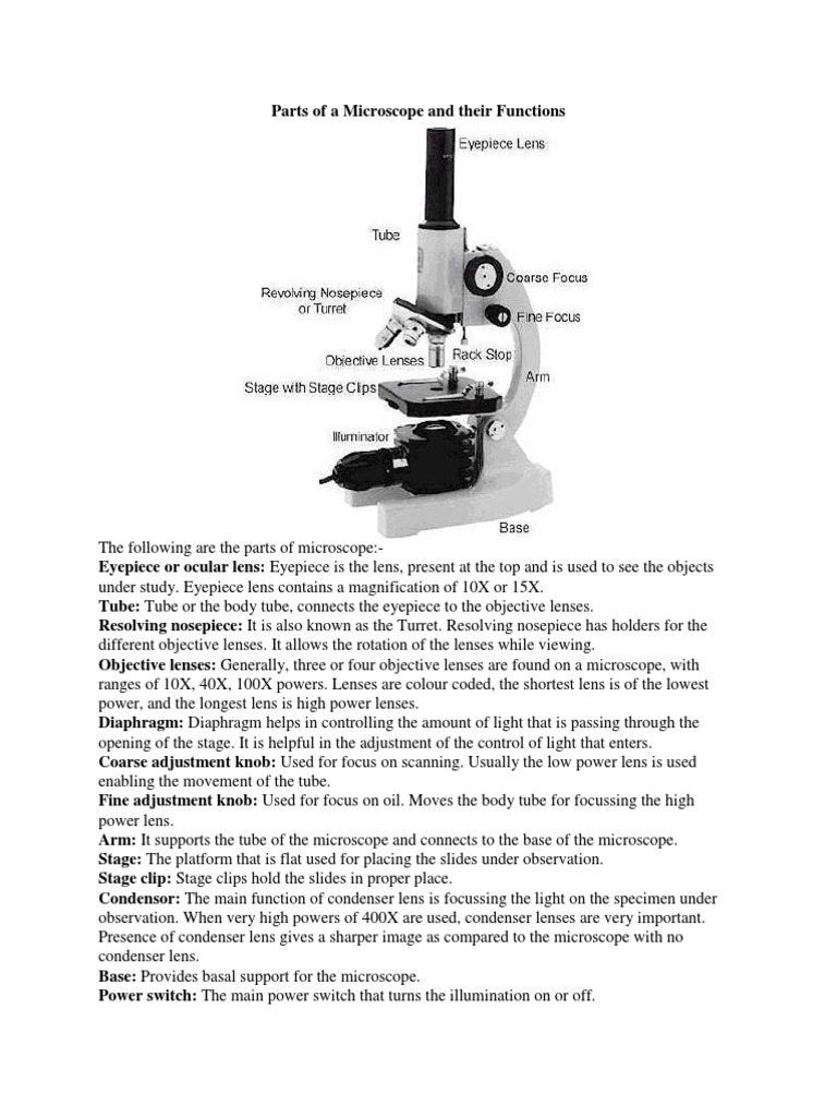 Parts of A Microscope and Their Functions | PDF