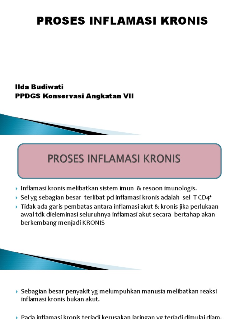 Proses Inflamasi Kronis dan Mekanismenya | PDF | Sains & Matematika