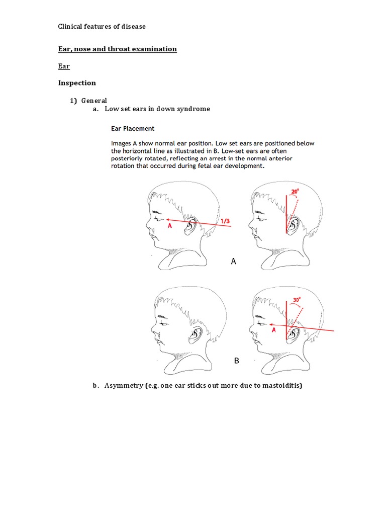 ENT Exam | PDF | Ear | Human Head And Neck