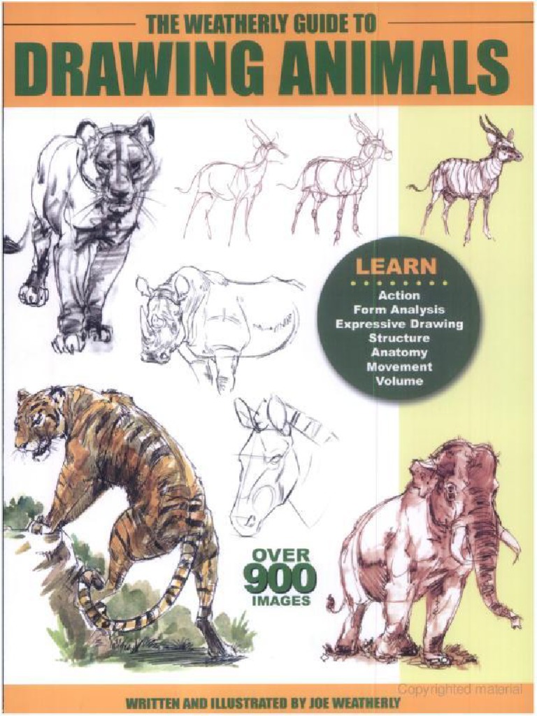 Drawing Animals PDF | PDF
