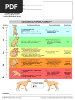 Pacslac Checklist With SM Logo PDF | PDF | Pain | Behavioural Sciences