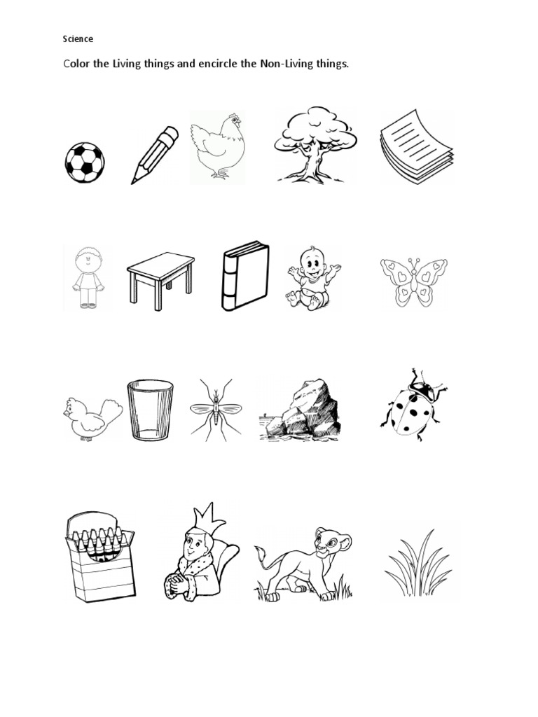 Color The Living Things and Encircle The Non-Living Things.: Science | PDF