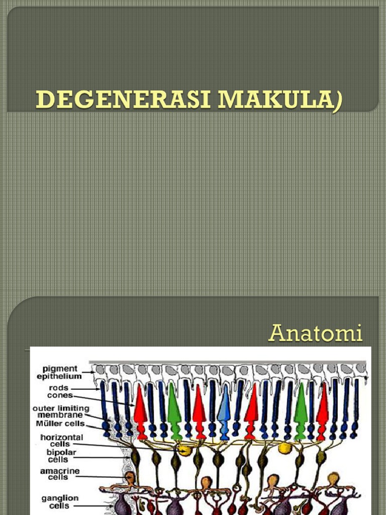 Degenerasi Makula | PDF