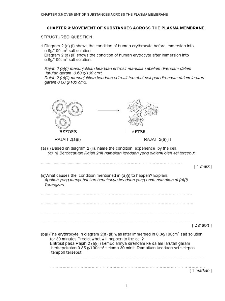 Chapter 3:movement of Substances Across The Plasma Membrane | PDF | History