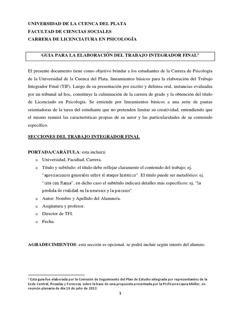 Guia de Elaboracion Del Tif | PDF | Institución | Teoría