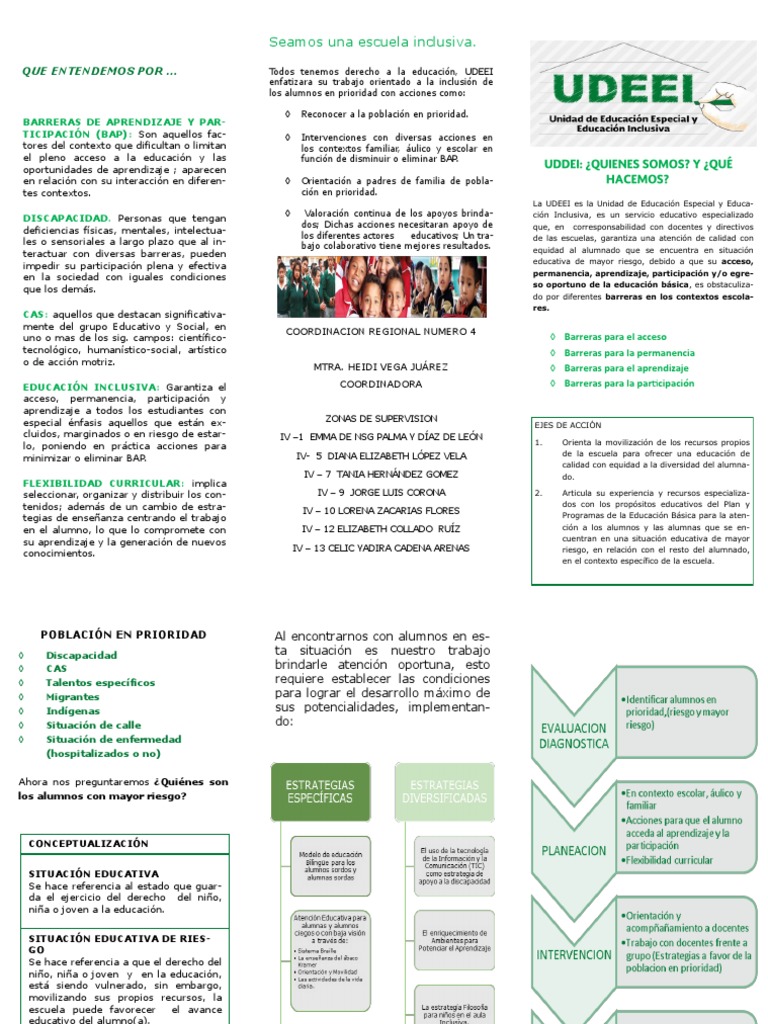 Triptico Udeei | PDF | Invalidez | Cognición