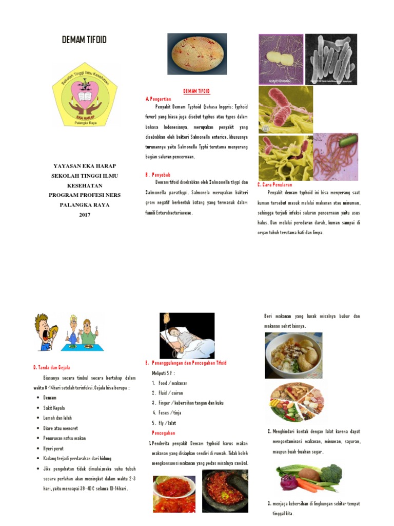 Leaflet Tifoid | PDF