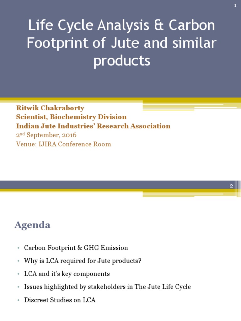 CFP Jute | PDF | Life Cycle Assessment | Greenhouse Gas