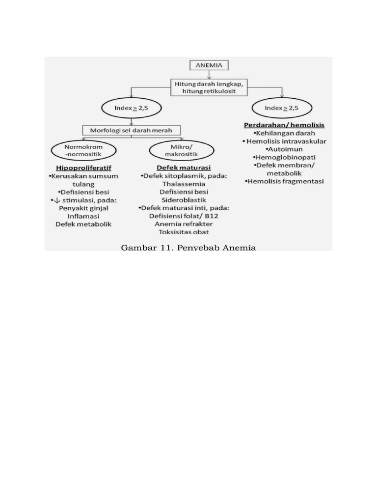 Bagan Anemia | PDF