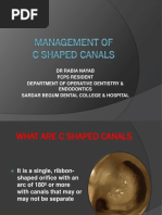 Endodontic Canal Configuration Guide | PDF | Tooth | Dental Anatomy