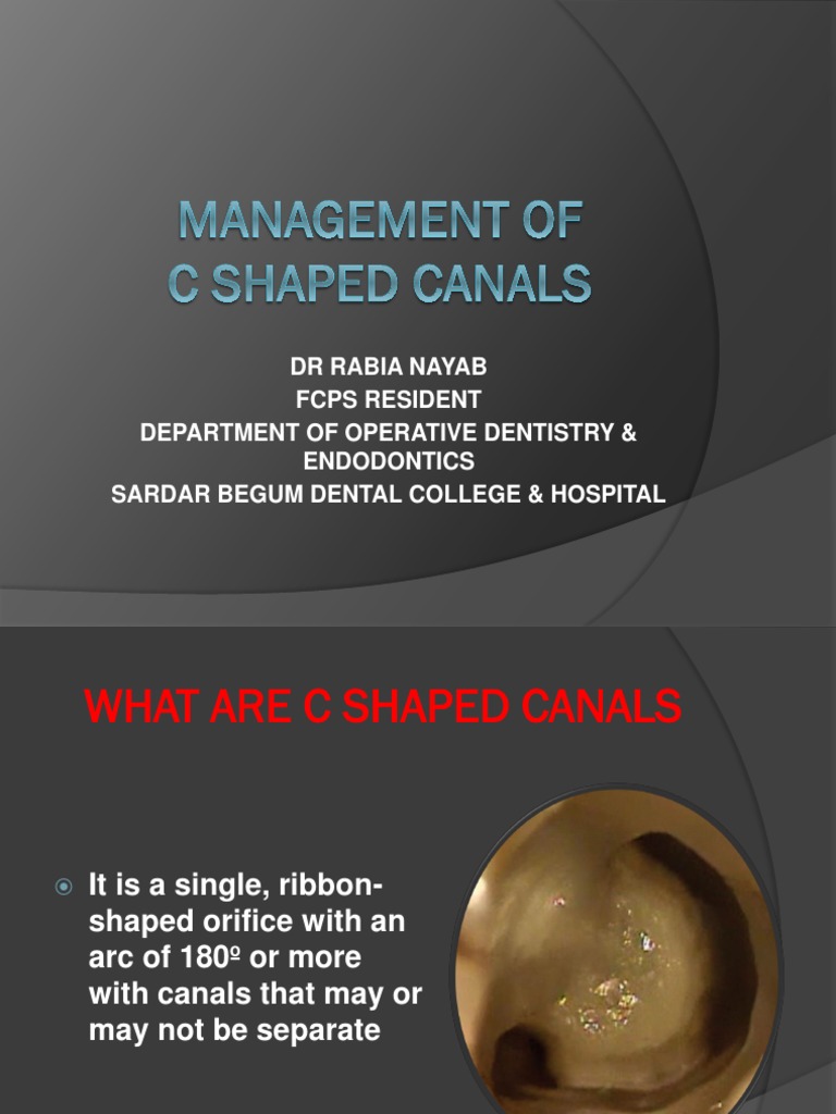 C Shaped Canals | PDF | Anatomical Terms Of Location | Health Sciences