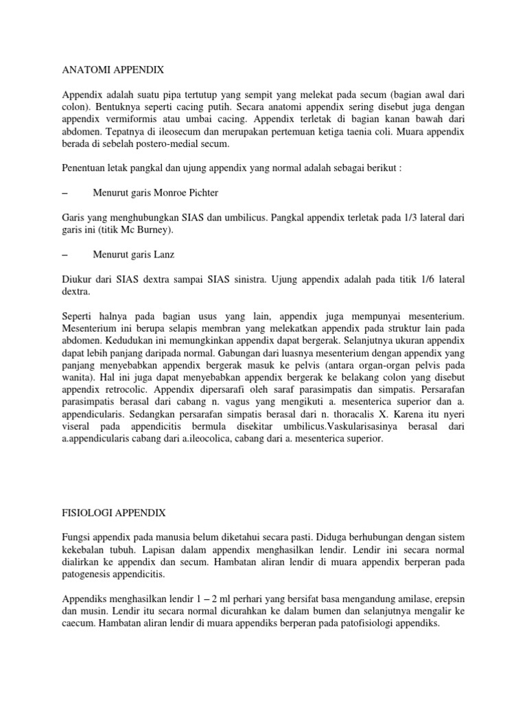 Anatomi Appendik | PDF