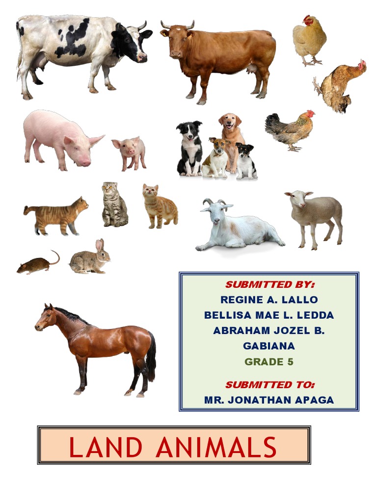 Five Land Animals Overview | PDF