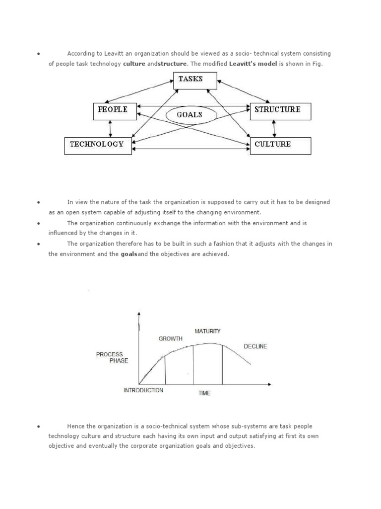 Leavitt's Model | Download Free PDF | System