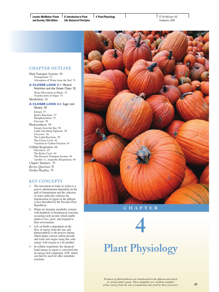 Plant Physiology | PDF
