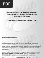 Protocolos de Pruebas Fat y Sat | PDF | Calidad (comercial ...