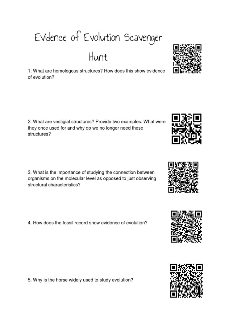 Evidence of Evolution Scavenger Hunt | PDF | Science & Mathematics