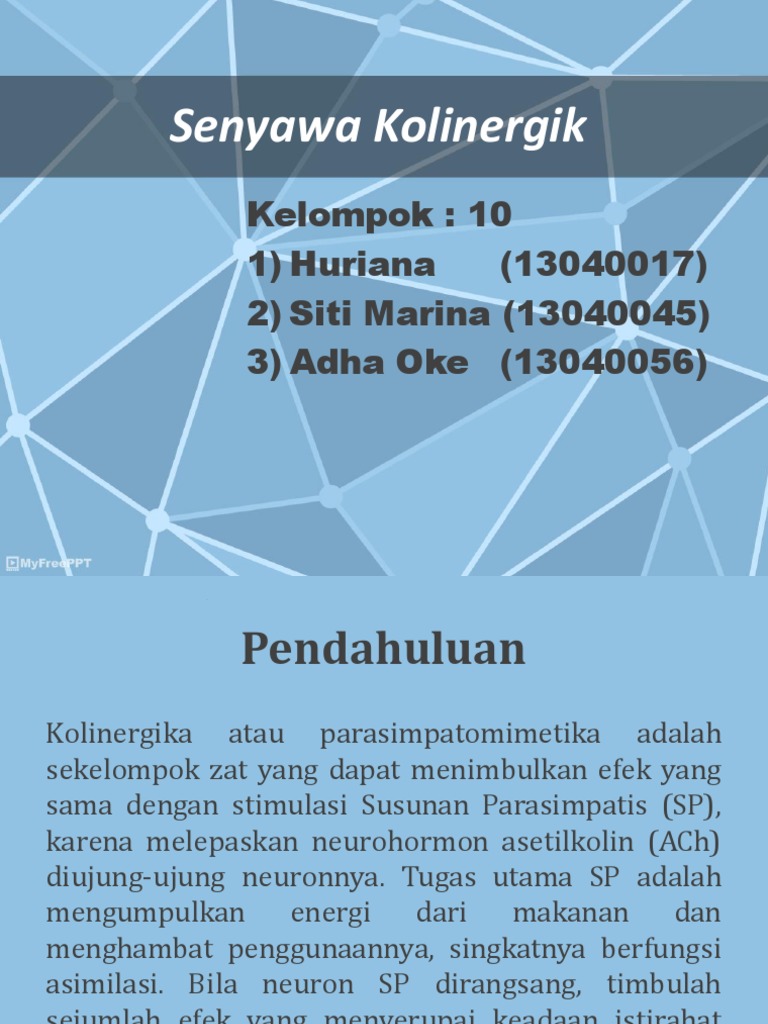 Senyawa Kolinergik: Fungsi dan Efek | PDF