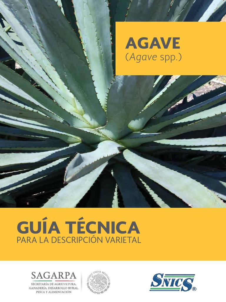 Guia Técnica Del Agave SPP | PDF | Plantas | Colector