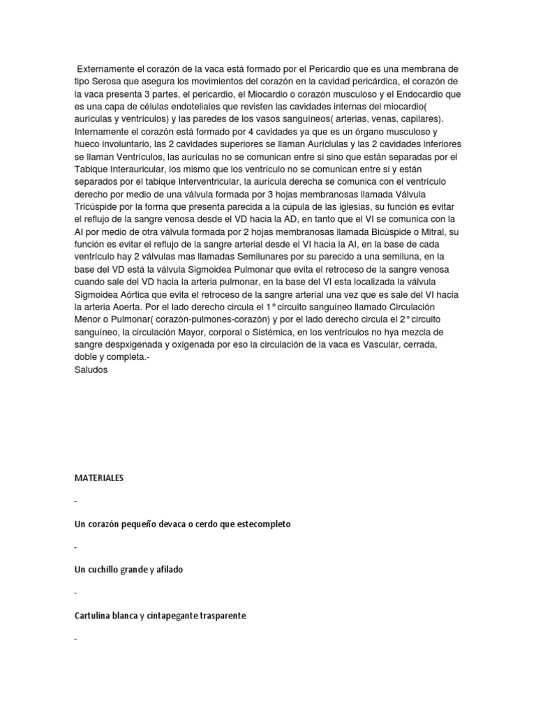 Anatomía y disección del corazón bovino | PDF | Ventrículo (corazón ...