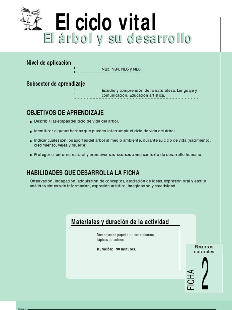Ciclo Vital del Árbol para Niños | PDF | Arboles | Vida