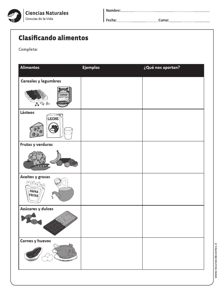 Clasificando Alimentos PDF | PDF | Salud y bienestar