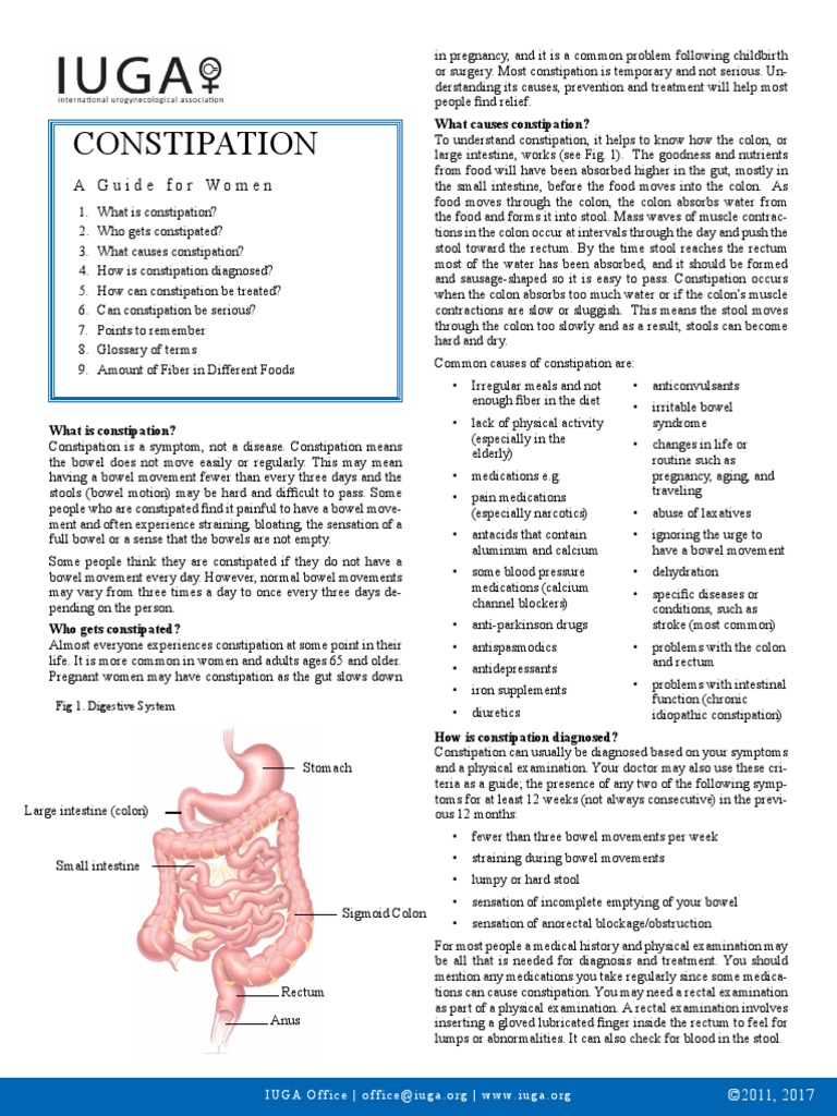 Constipation: A Guide For Women | PDF | Constipation | Rectum