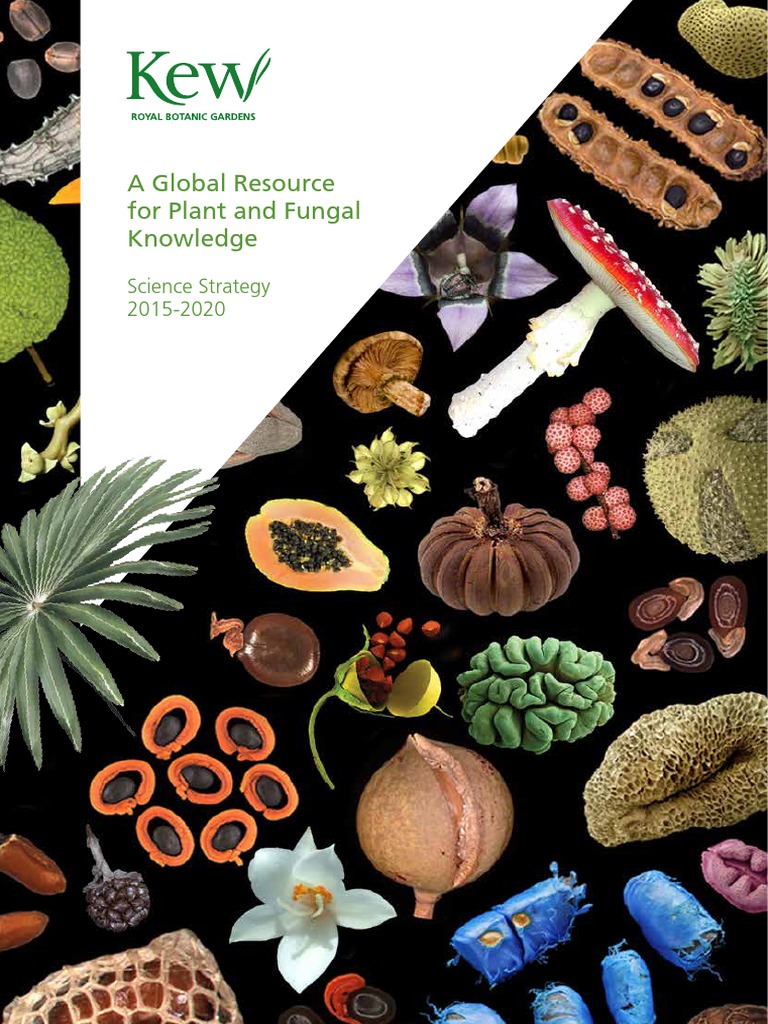 Kew Science Strategy 2015-2020 | PDF | Biodiversity | Conservation Biology