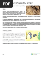 Evolution Station Cards BIOLOGY COMPLETE WORSHEET ASSIGNMENT ANSWERS ...