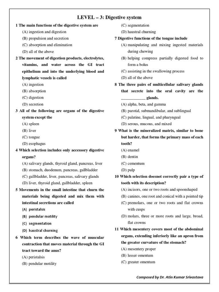 Digestive System Level 3 | PDF | Stomach | Human Digestive System