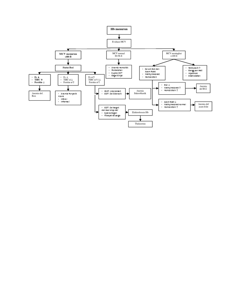 Pathway Anemia | PDF
