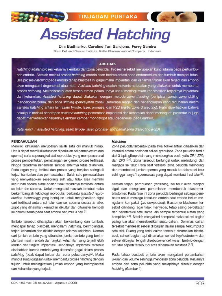 Assisted Hatching | PDF