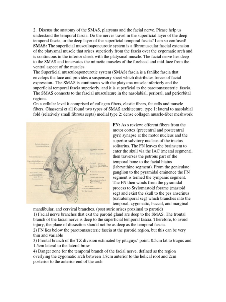 Understanding the Complex Anatomy of the SMAS, Platysma, Facial Nerve ...
