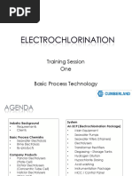 Electrochlorination System | PDF | Chlorine | Electrochemistry