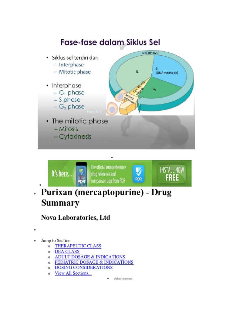 Purixan (Mercaptopurine) - Drug: Nova Laboratories, LTD | Download Free ...