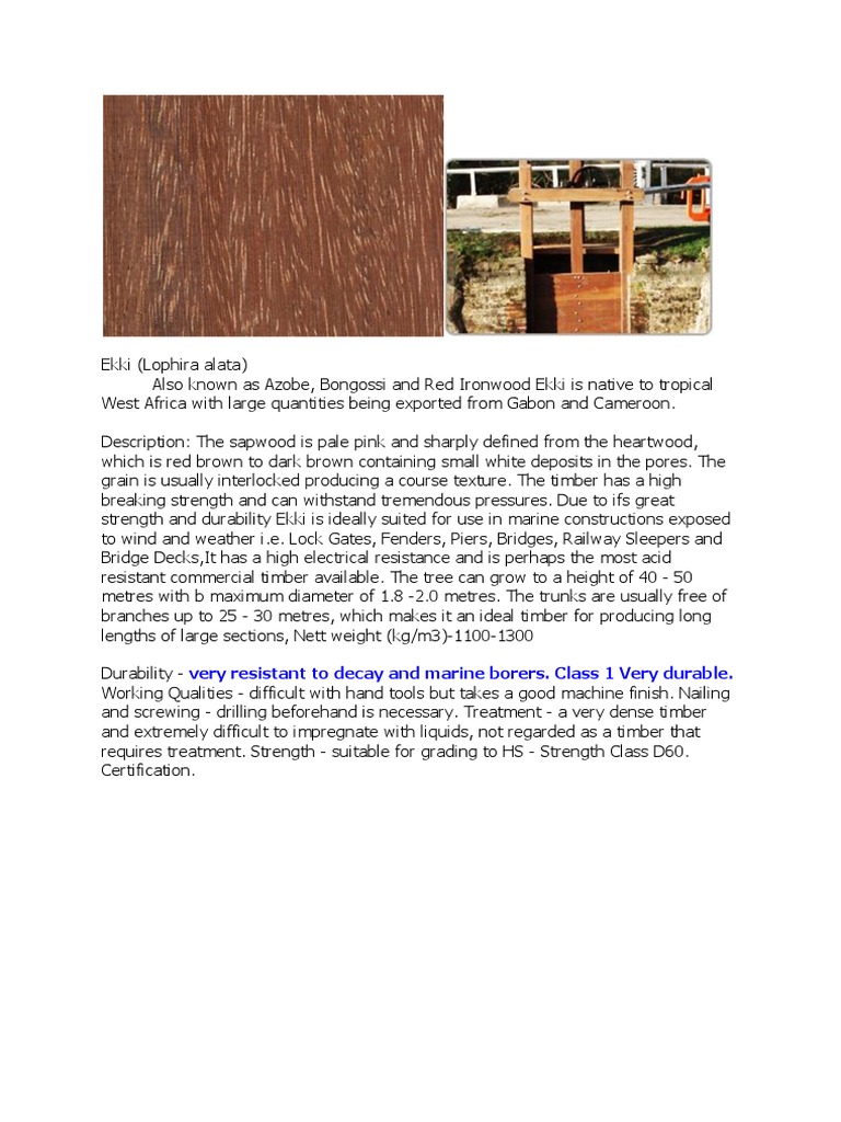 Ekki Timber: Strength & Durability in Construction | PDF | Lumber | Wood