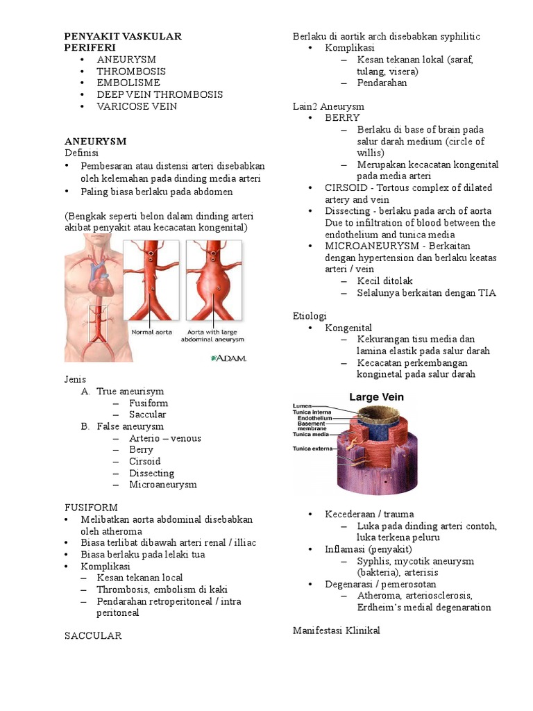 2.penyakit Vaskular Periferi | PDF