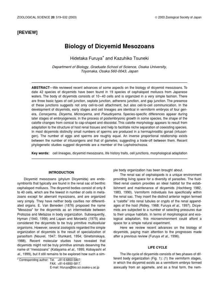 Dicyemid Mesozoans: Biology Review | PDF | Biology | Anatomy